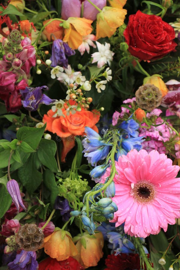 Multi Colored Wedding Flowers Stock Image - Image of purple, white ...