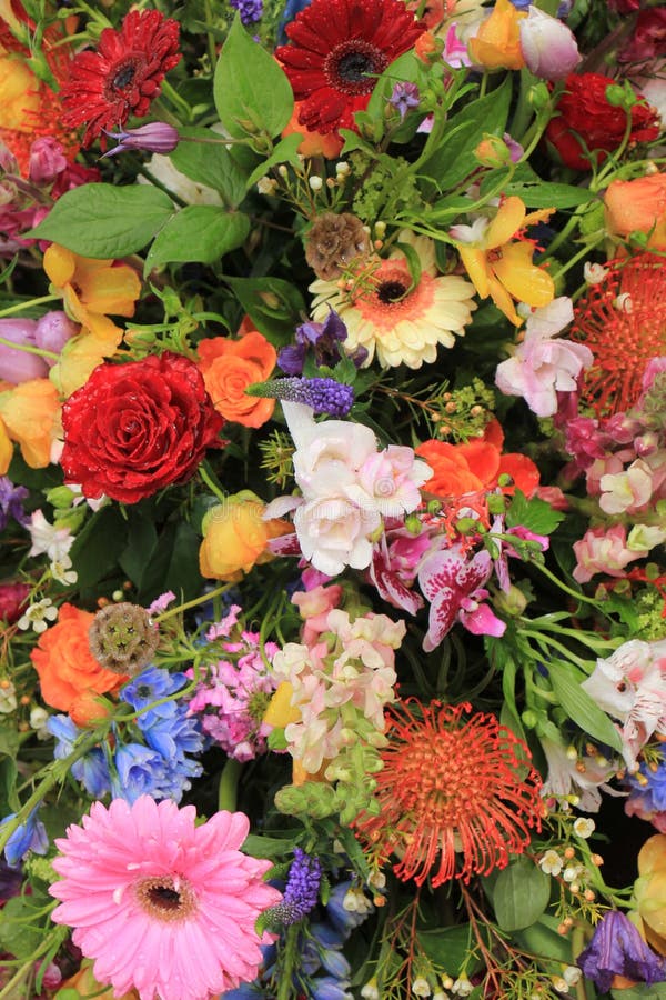 Multi Colored Wedding Flowers Stock Image - Image of decoration, floral ...