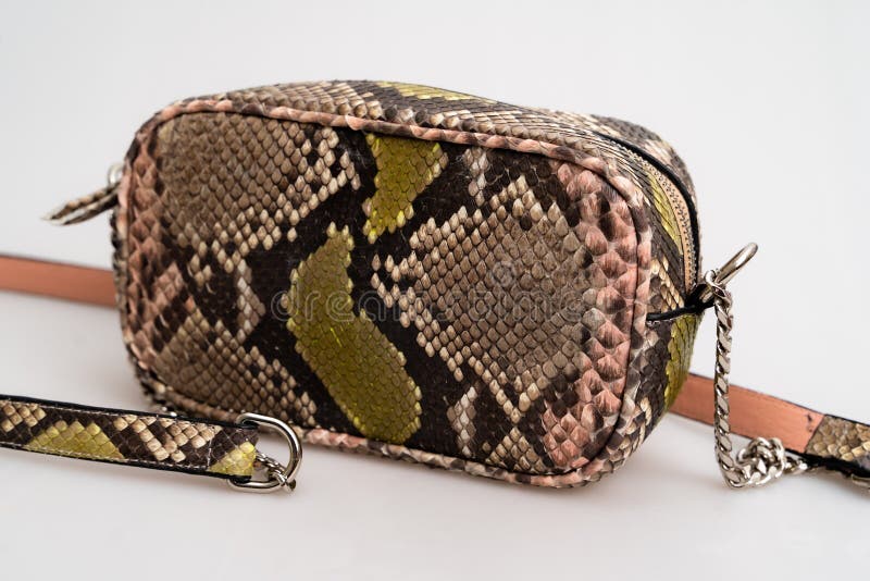 Colored Snakeskin Shoes in Square Composition Stock Photo - Image of ...