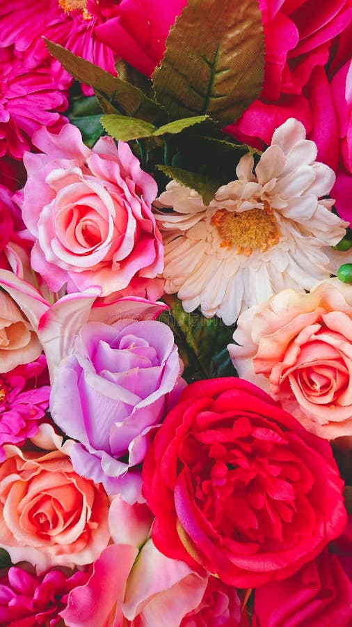 Multi Colors Pink Purple Red Yellow Flowers Background Stock Image ...