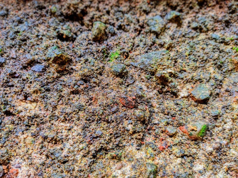 Multi Colors and Types of Crustose Lichen or Algae on Sandstone Stock ...