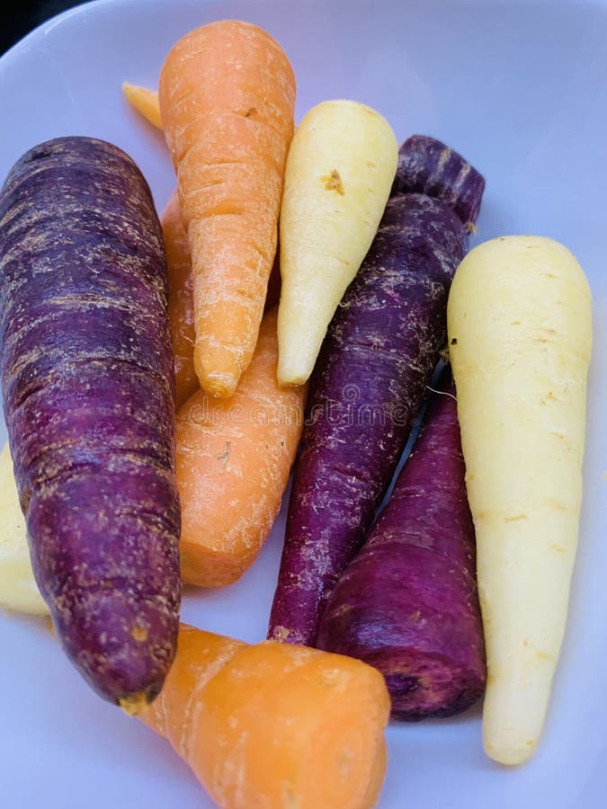 Multi coloured carrots stock image. Image of landscape - 203233189