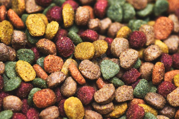 Multi-coloured dog kibble stock image. Image of delicious - 322579249