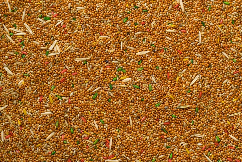 Multi-coloured grain stock photo. Image of grains, organic - 2178906