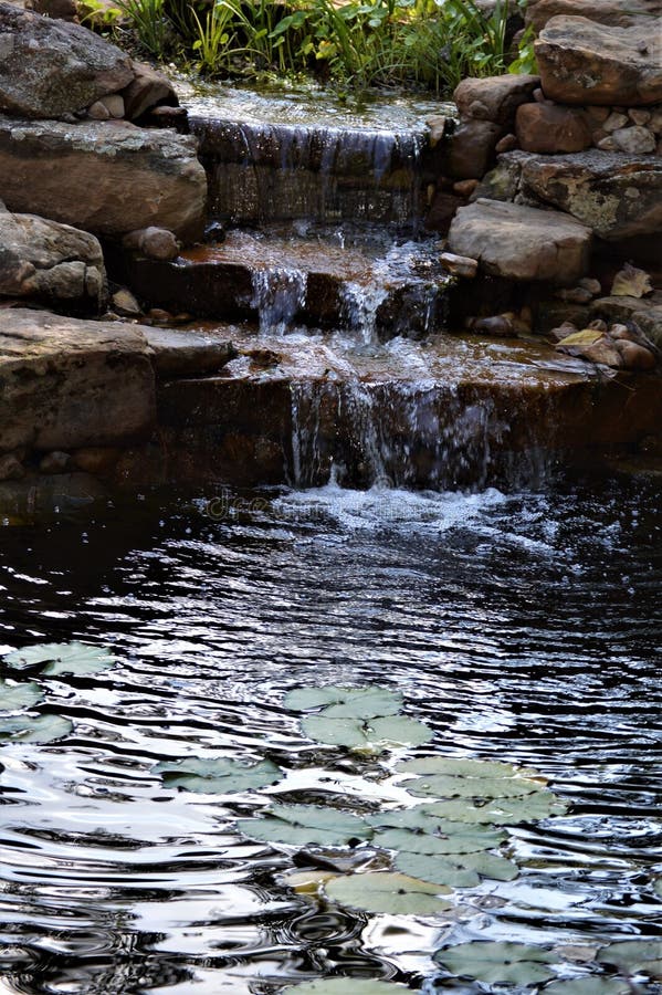 Water Falls at the End of the Back Yard Pond Stock Photo - Image of ...