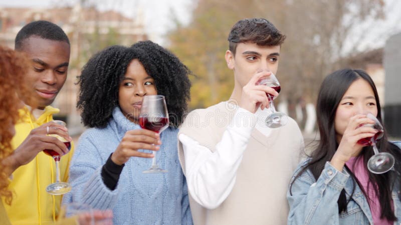 Multi-ethnic Friends Standing in the Street Drinking Wine Stock Footage ...