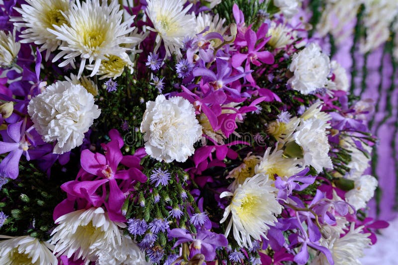 Multi flower on wall stock image. Image of colorful, orchids - 86029615