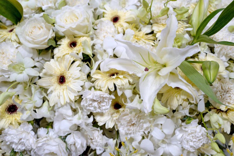 Multi flower on wall stock photo. Image of flower, beauty - 86029714