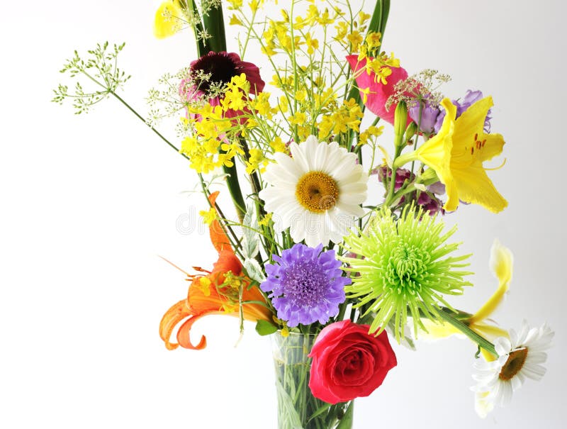 Multi flowers stock image. Image of rapeseed, goutweed - 5689439