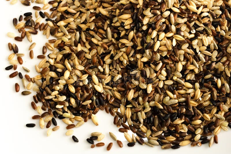 Multi Grain Rice Mix Isolated on White Stock Image - Image of group ...