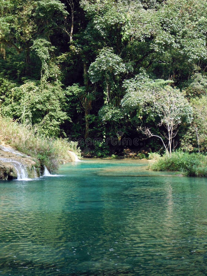 Semuc Champey Limestone Bridge in Jungle Stock Photo - Image of tropics ...