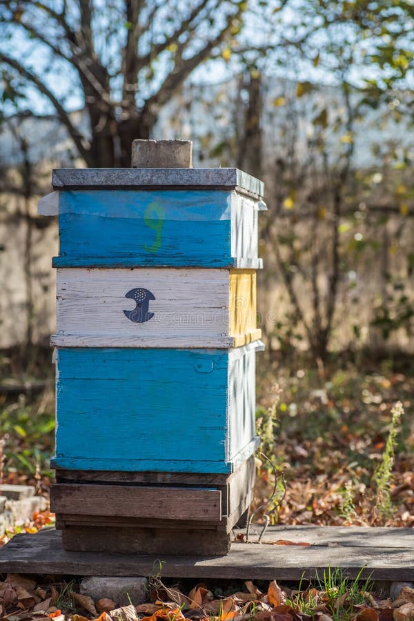 Multi-hulled Hive on Apiary Stock Photo - Image of blossom, health ...