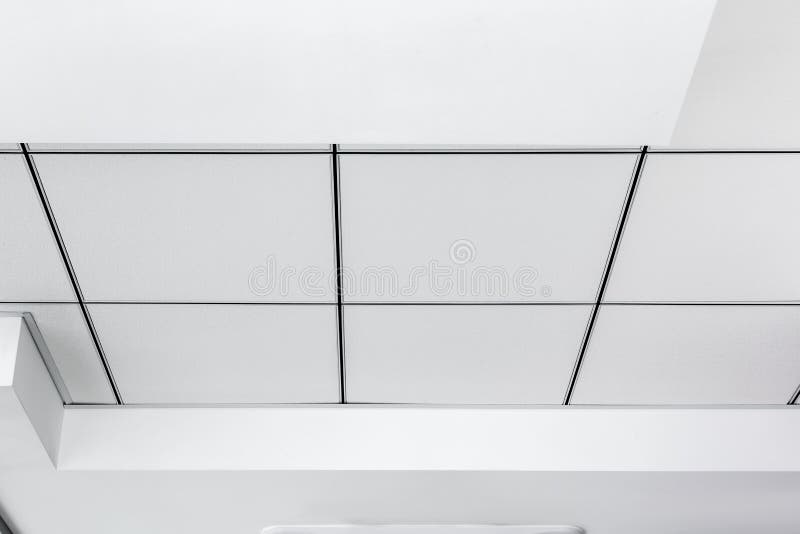Multi-level Ceiling with Three-dimensional Protrusions and a Suspended ...