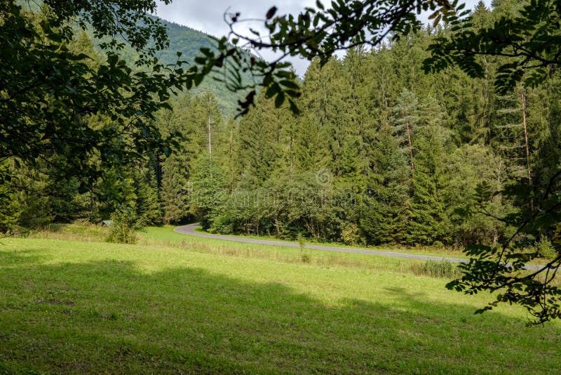 Multi Level Fields and Forests in Mountain Area Stock Image - Image of ...