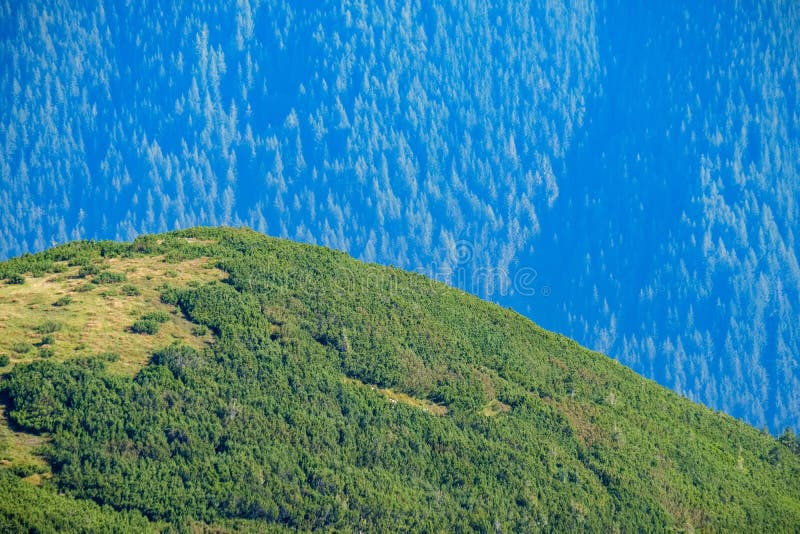 Multi Level Fields and Forests in Mountain Area Stock Image - Image of ...