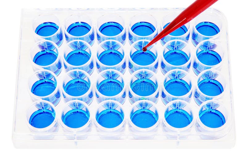 Multi Well plate dish stock photo. Image of plate, laboratory - 26366762