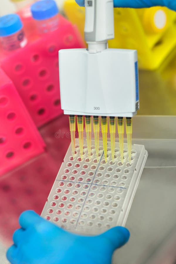 Multichannel Pipette Test Sample On 96 Wells Plate Stock Image - Image ...