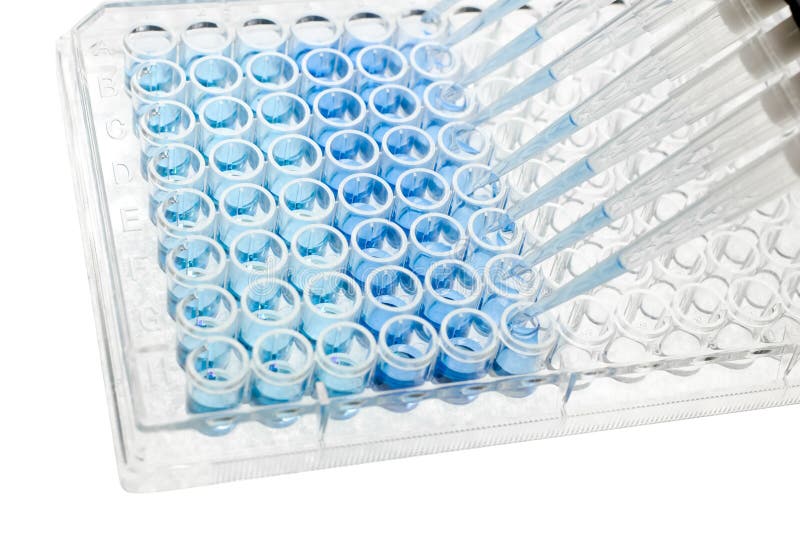 Multichannel Pipette Test Sample Stock Photo - Image of analysis ...