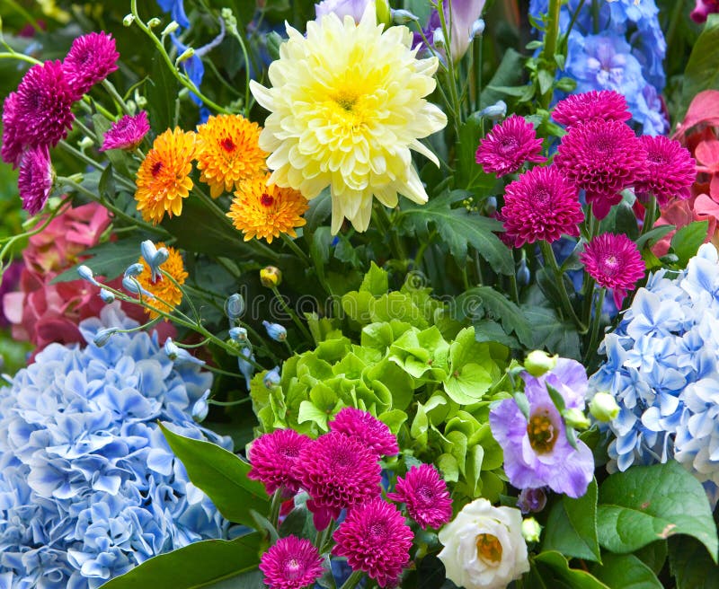 Multicolor Bouquet Made of Different Flowers Stock Image - Image of ...