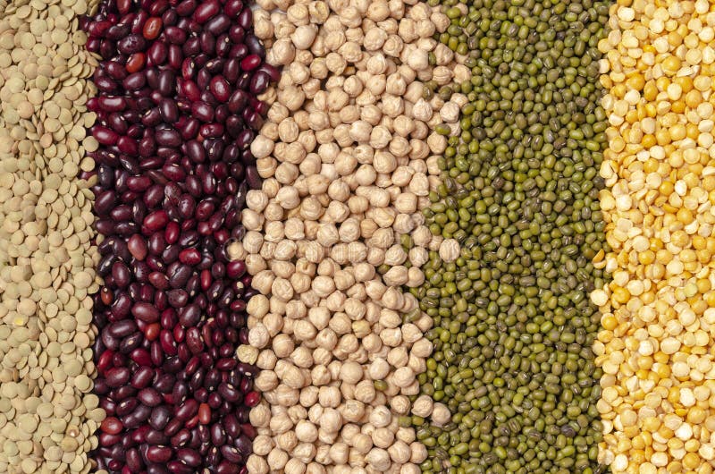 Multicolor Dired Legumes for Background, Different Dry Bean Stock Photo ...