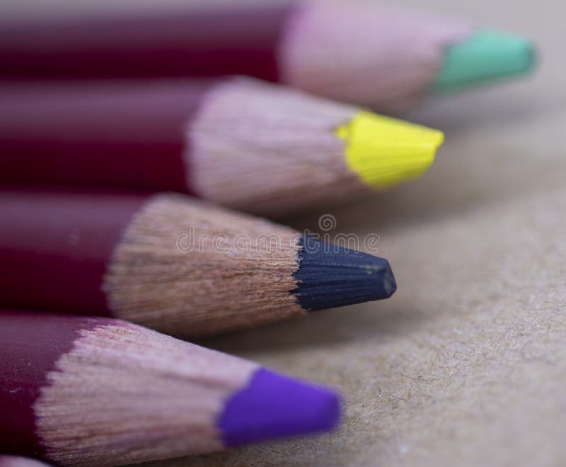 Multicolor Dry Crayons, Macro Photo. Stock Photo - Image of golden ...