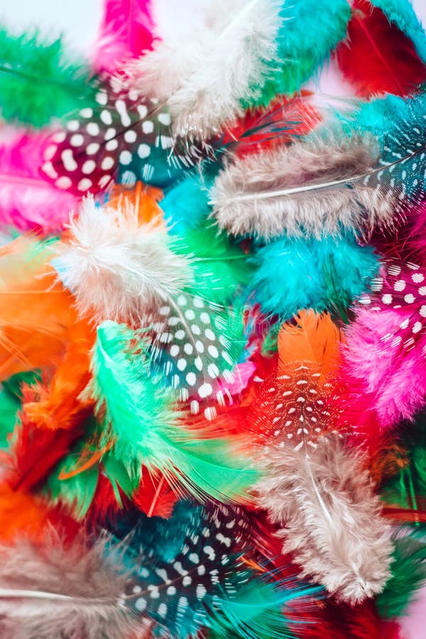 Multicolor Feathers Background, Abstract Feather Texture, Top View ...