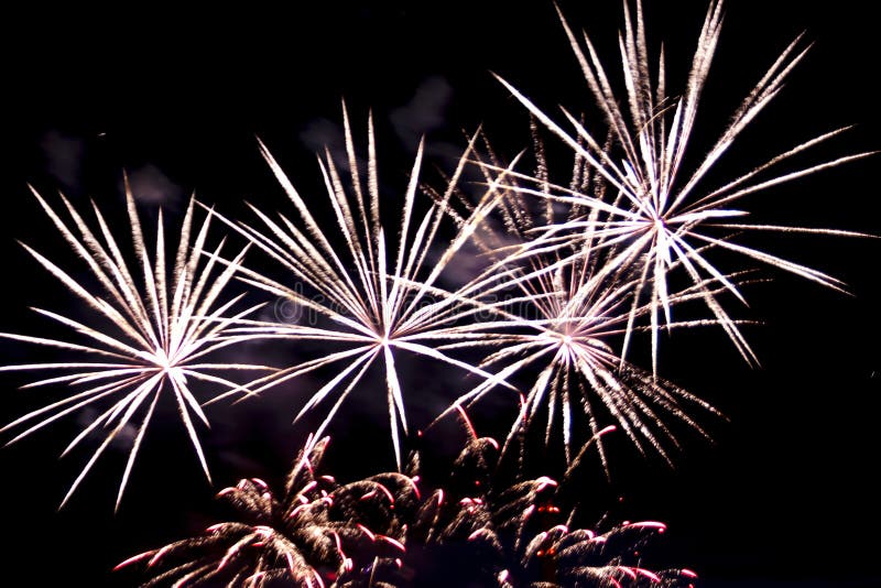 Multicolor Fireworks in the Night Sky in the Form of Flowers. Stock ...