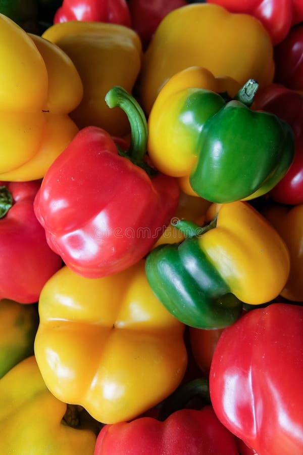 Multicolor pepper pile stock image. Image of colored - 29799135