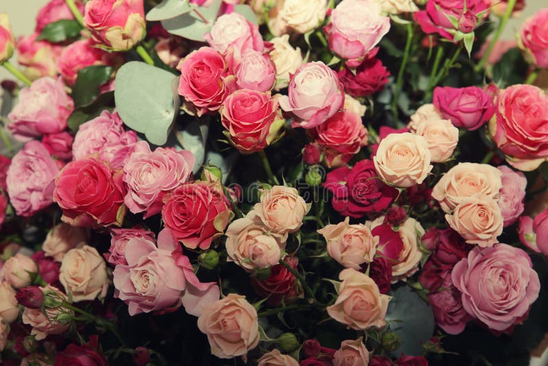 Multicolor roses bouquet stock image. Image of bunch - 52400011