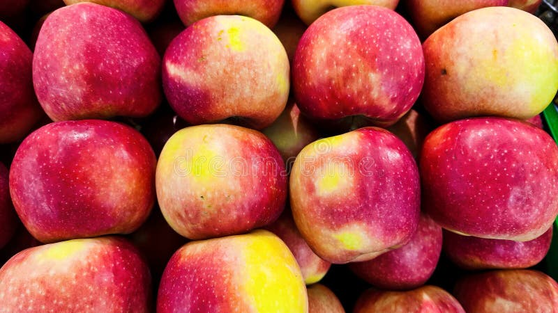 Multicolored Apples on Maple Leaves Full Frame Background Texture ...