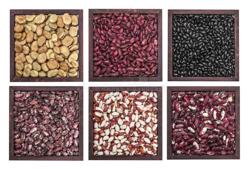 Multicolored beans in bowl stock photo. Image of multicolor - 86257576