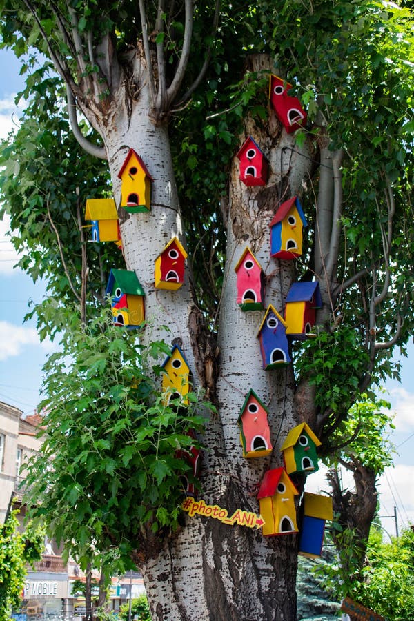 Multicolored Bird Nests on a Tree Stock Photo - Image of colorful, nest ...