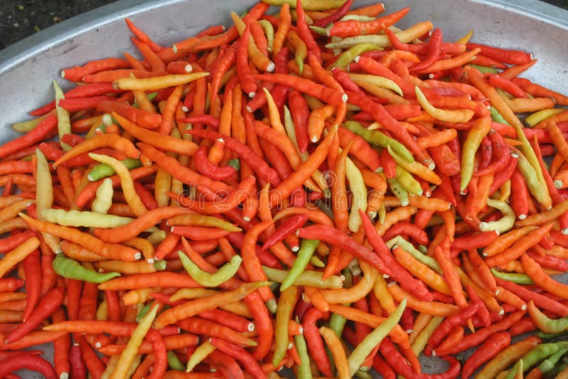 Multicolored Bird S Eye Chilli Stock Image - Image of marketplace ...