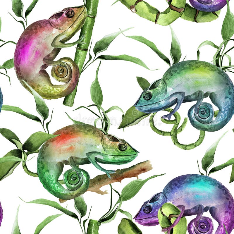 Chameleons Seamless Pattern in Different Poses Color Illustrations ...
