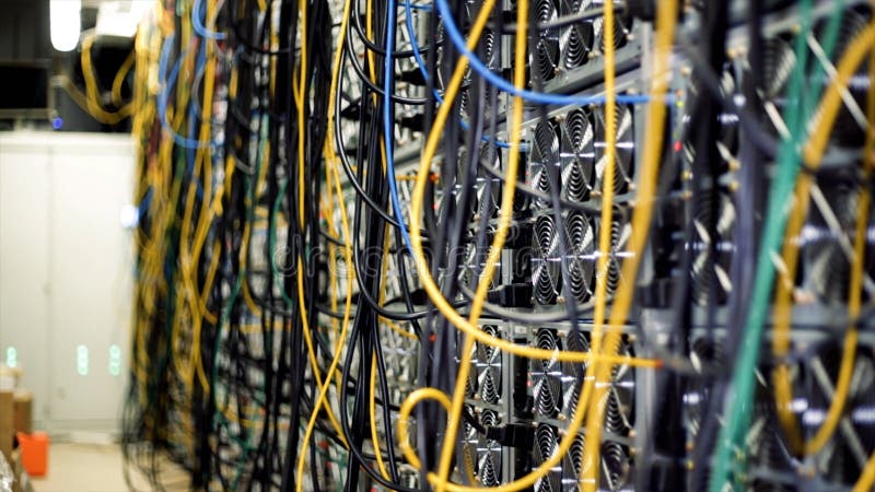 Multicolored Data Center Wiring. Stock Footage. Close-up of Wall of ...