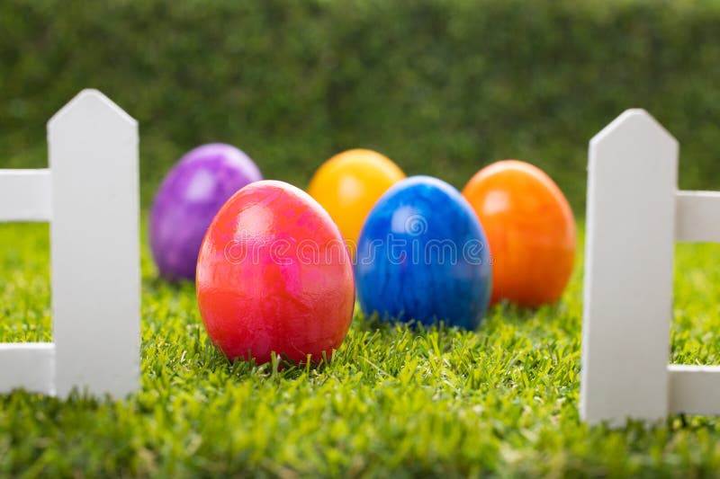Multicolored Easter Eggs Stand in a Row on a Green Lawn Stock Photo ...