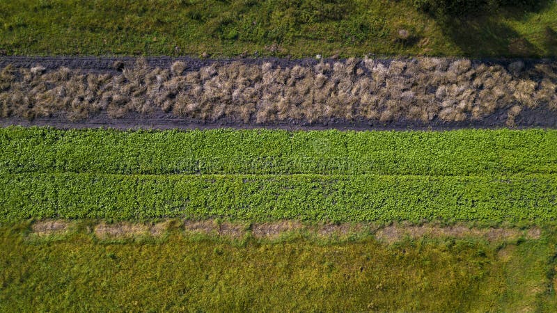 Multicolored Farm Fields Top View from a Drone Stock Photo - Image of ...