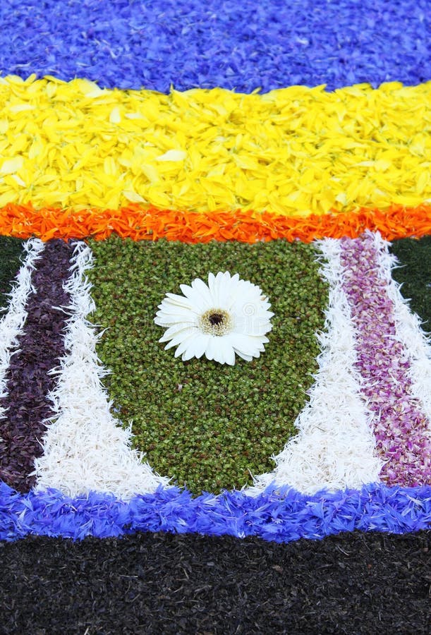 Multicolored floral carpet stock image. Image of floral - 65550079