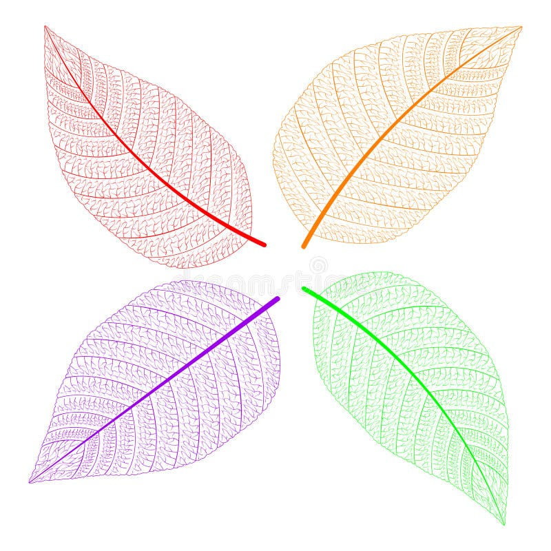Multicolored Leaves in the Contour Stock Vector - Illustration of color ...