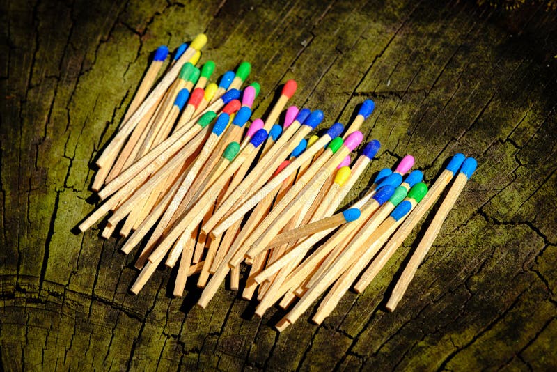 Multicolored Match Sticks on a Tree with Lichens Stock Image - Image of ...