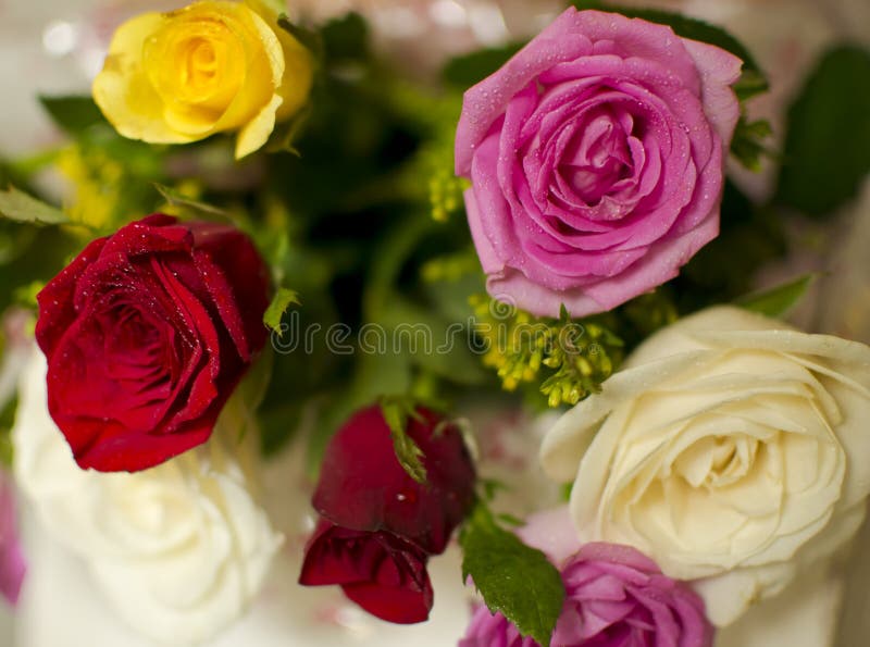 Rose Flower Bouquet stock image. Image of farming, bloom - 44922207
