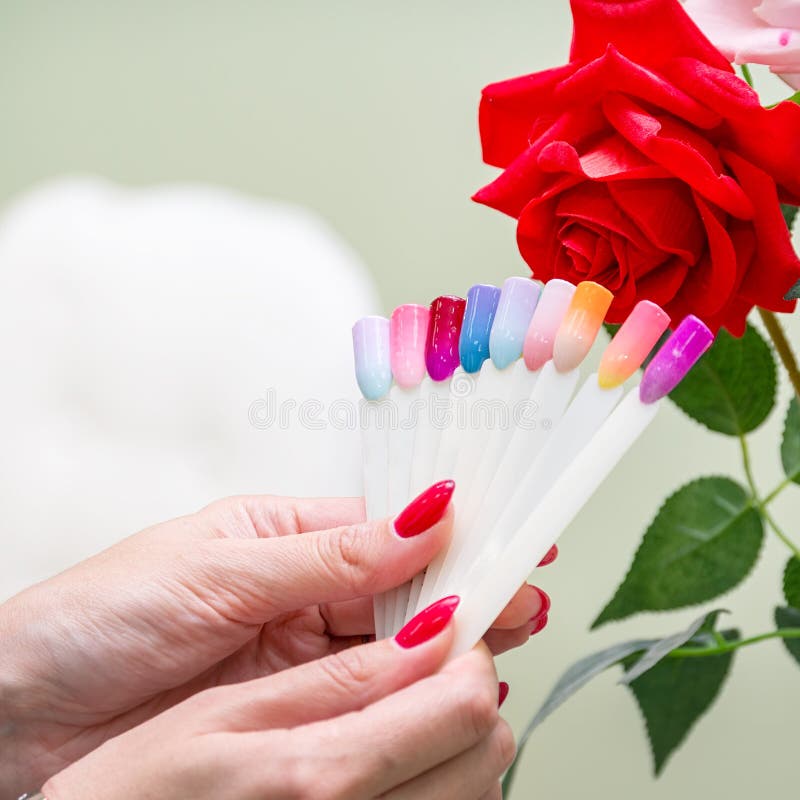 Multicolored Samples of Nail Tips for Nail Design Stock Photo - Image ...