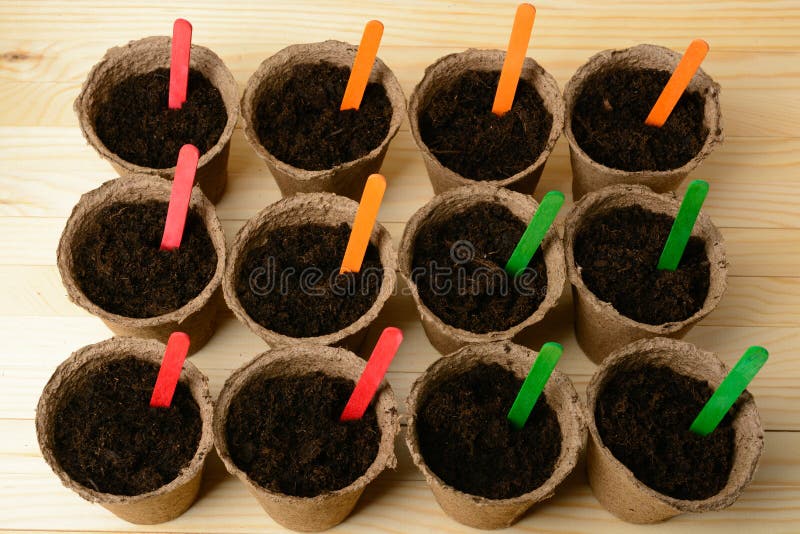 Multicolored Sticks in Peat Pots Stock Photo - Image of nature, stick ...