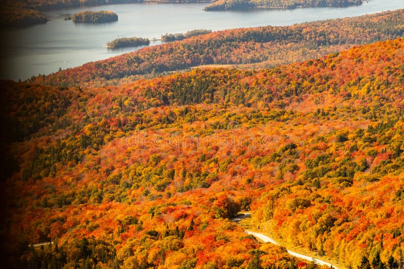 Multicolored Trees during the Indian Summer in Mont Tremblant, Canada ...
