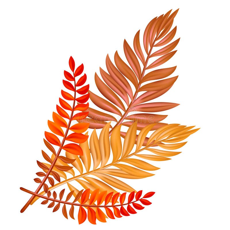 Multicolored Tropical Leaves. Vector Tropical Exotic Leaves, Realistic ... Multicolored Tropical Leaves. Vector Tropical Exotic Leaves, Realistic ...