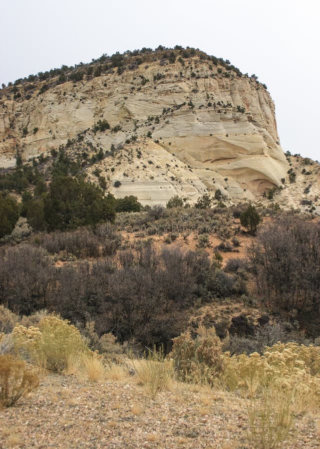 Multicolored and Yellow Rock Formations with Semi-desert Vegetation ...