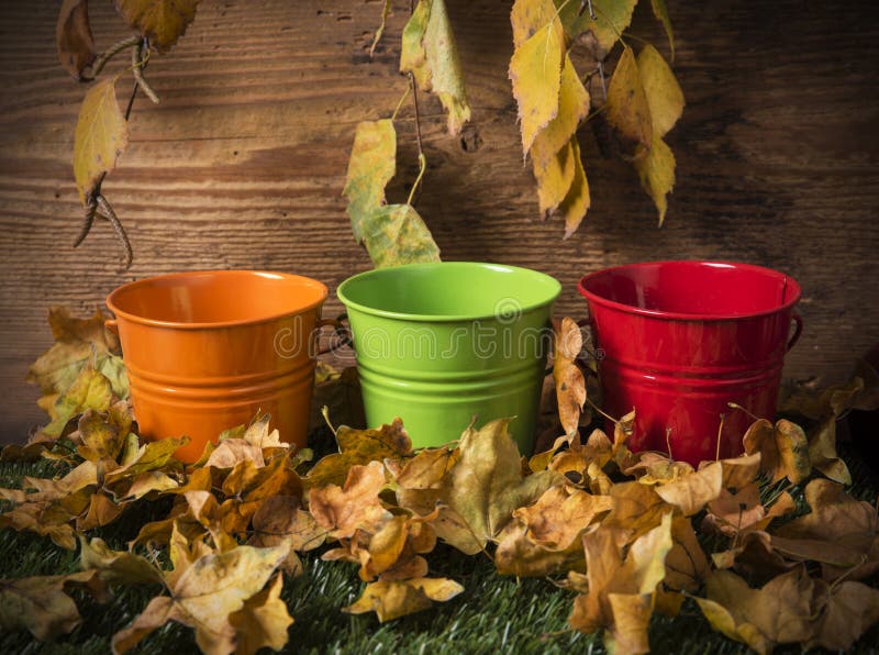 Multicolour Bucket on the Grass Stock Image - Image of harvest, plant ...