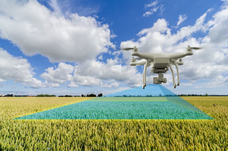Multicopter Drone Flying Over Crops Field Stock Image - Image of green ...