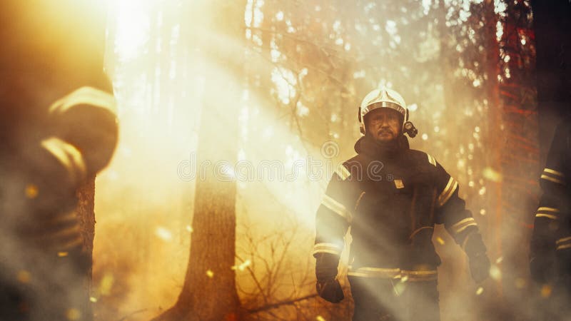 260 Walking Out Fire Stock Photos - Free & Royalty-Free Stock Photos ...