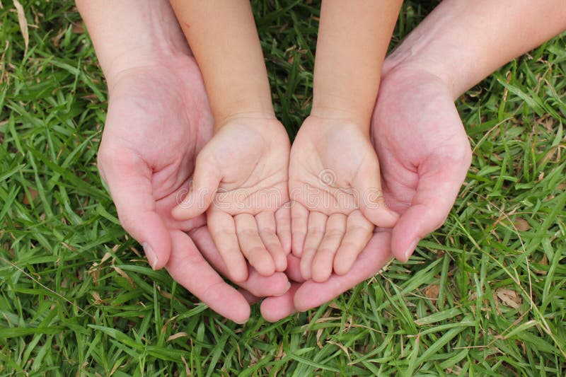 Multicultural hands stock photo. Image of join, human - 33193732